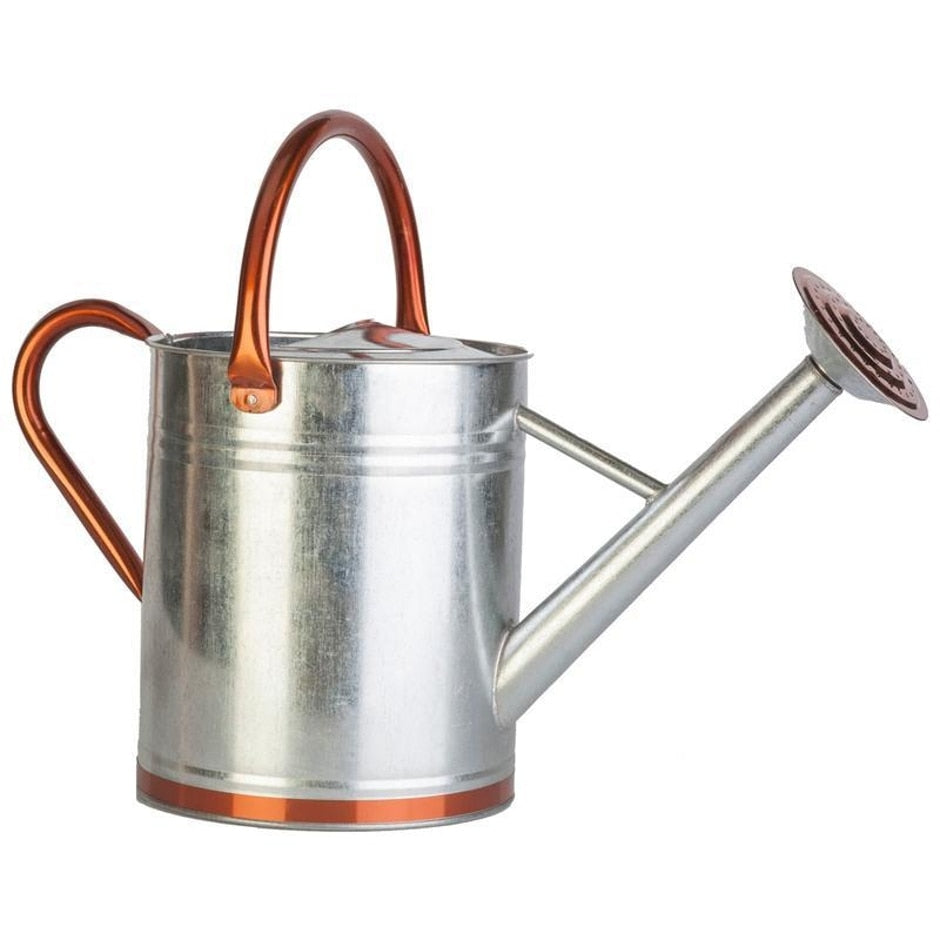 GALVENIZED WATERING CAN - Northampton, MA - Foster Farrar Co.